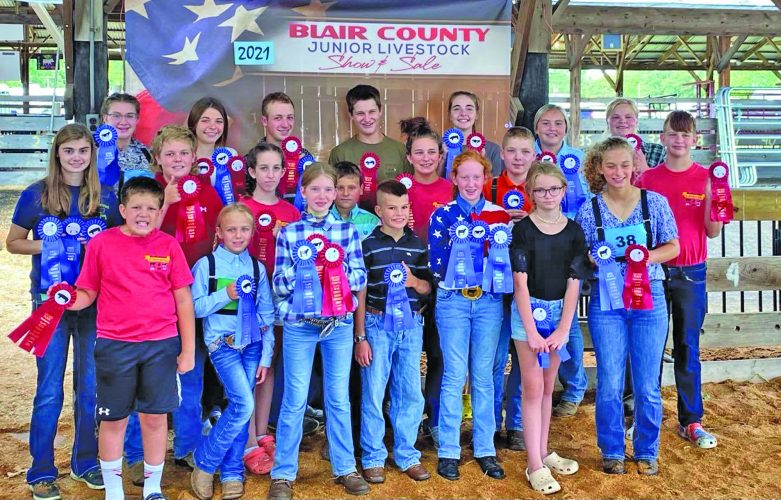 Livestock show held in Martinsburg | News, Sports, Jobs - Altoona Mirror
